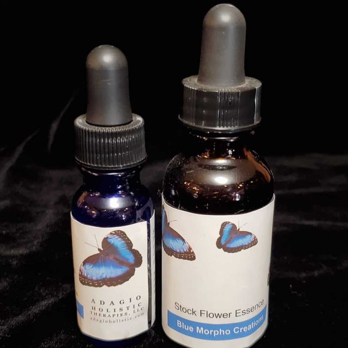 Polly Red Head Flower Essence - Blue Morpho – Adagio Holistic Therapies, LLC